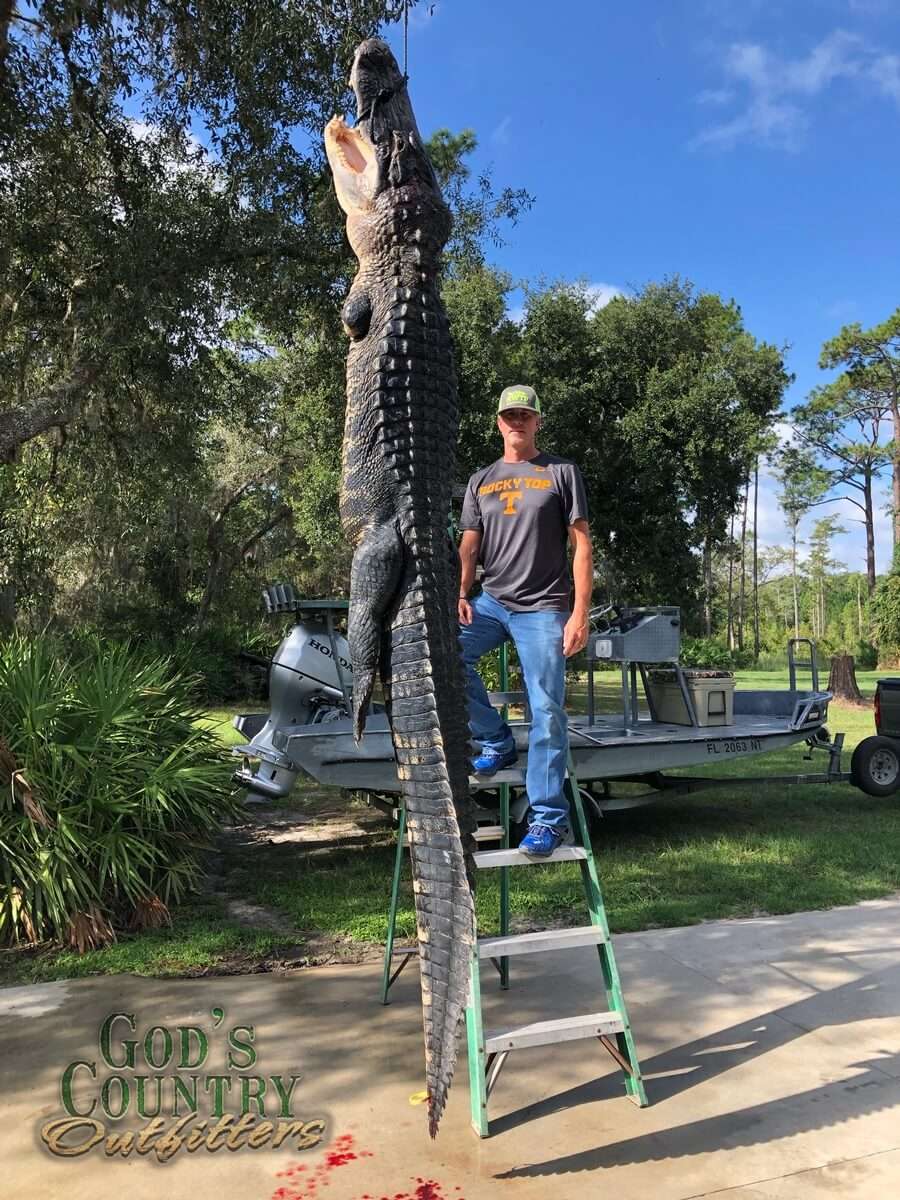 Florida Alligator Hunting - Wild Alligator Hunts